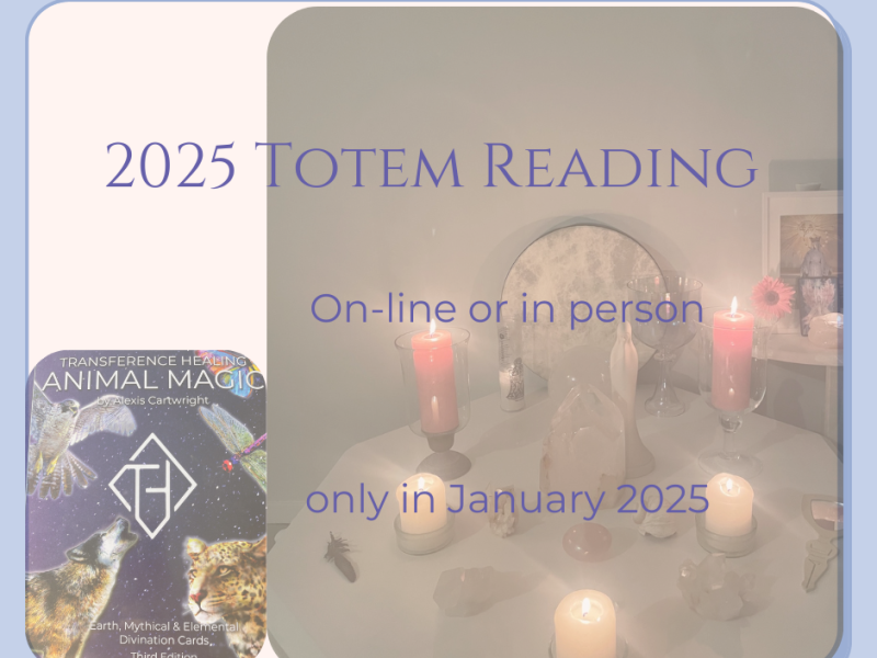 2025 Totem Reading - Hipsy