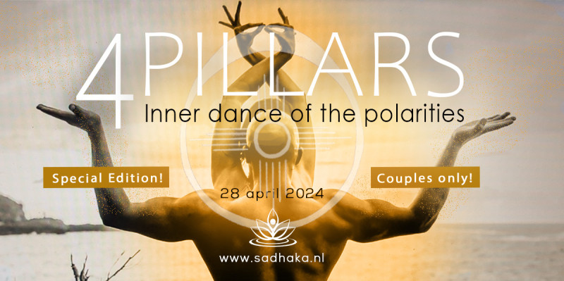 4 Pillars - inner dance of the polarities - Hipsy