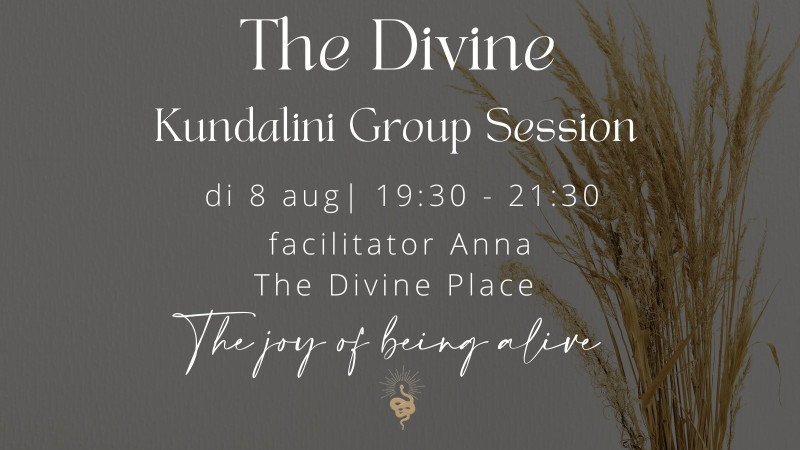 8-8 Lions Gate Portal Kundalini NRGY Awakening by The Divine - Hipsy