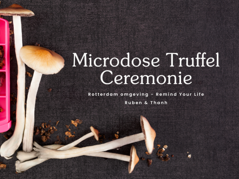 Microdose Truffel Ceremonie - Hipsy