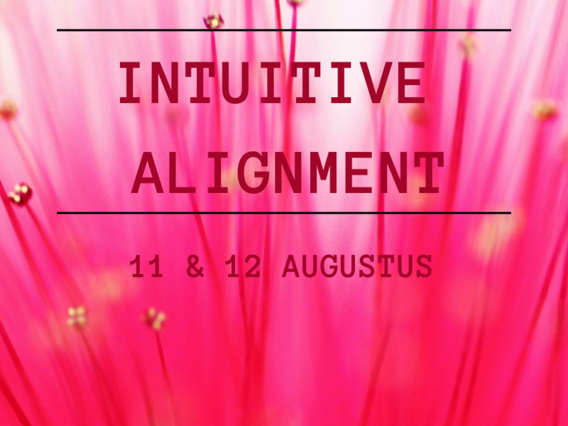 Intuitive Alignment - Hipsy