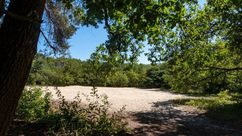 Sharing Circle - Hipsy