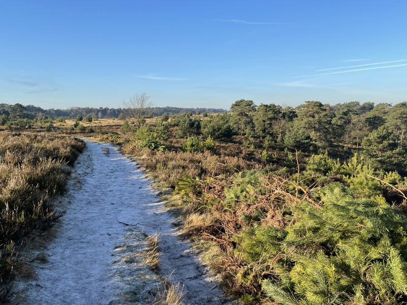 Mind-Walk Experience - Hipsy