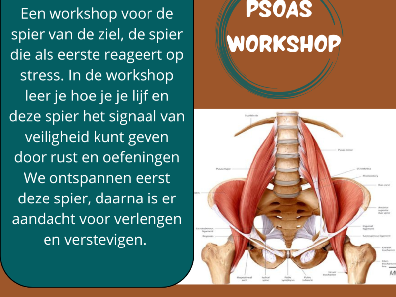 psoas workshop, terug in je eigen lijf - Hipsy