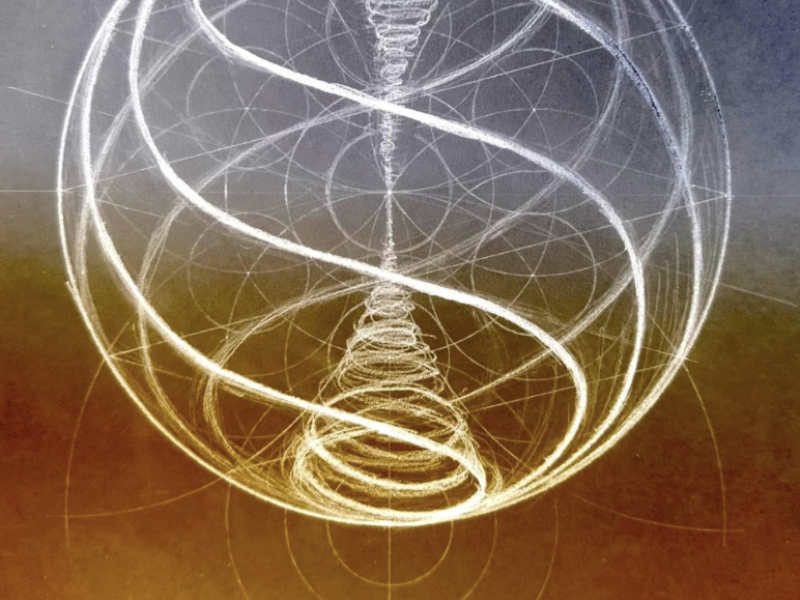 The Transformation Circle - Familieopstelling - Hipsy