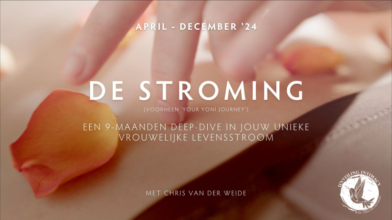 De Stroming - Training - Hipsy