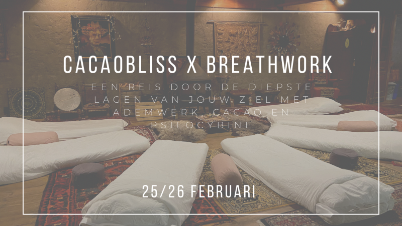 CacaoBliss x Traumarelease Breathwork - Hipsy
