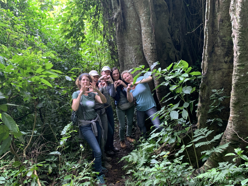 The Heart touches the Sky - Hipsy