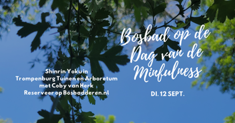 Bosbad op de Dag van de Mindfulness - Hipsy