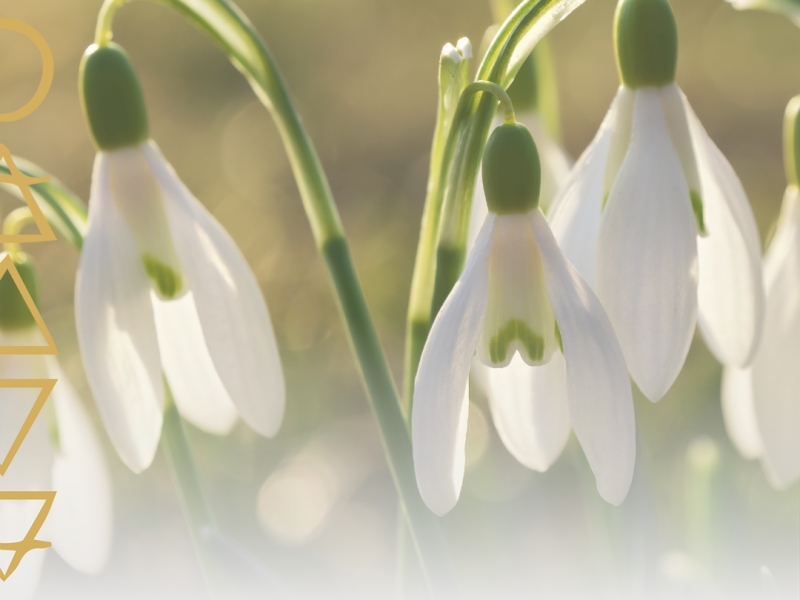 Kick Off: "In je Element" (Ayurveda lifestyle programma) - Hipsy