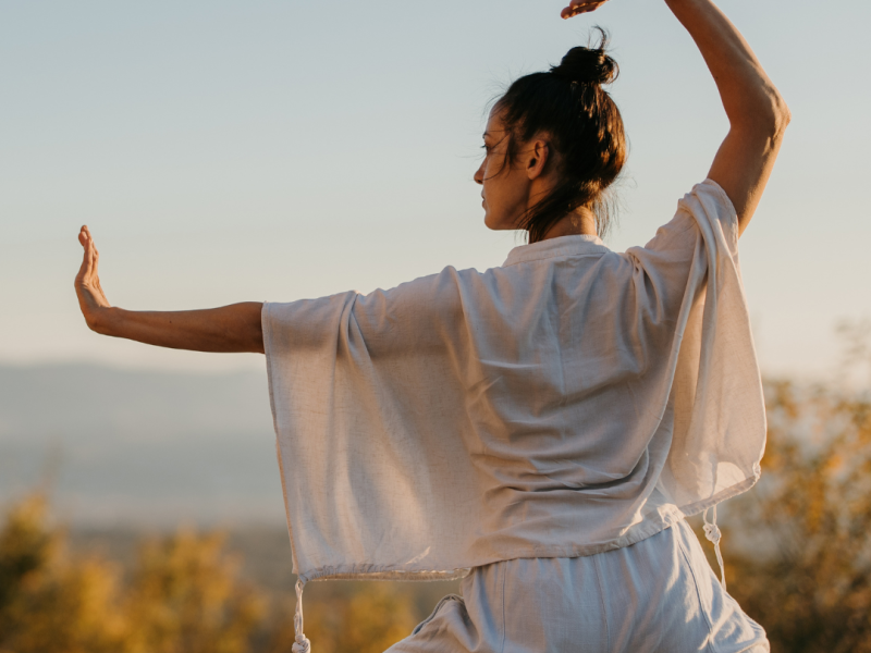 Taiji: Meditation in Motion with Peter Gaiser (NL/ENG) - Hipsy