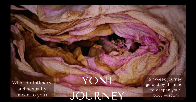 Yoni Journey - Hipsy
