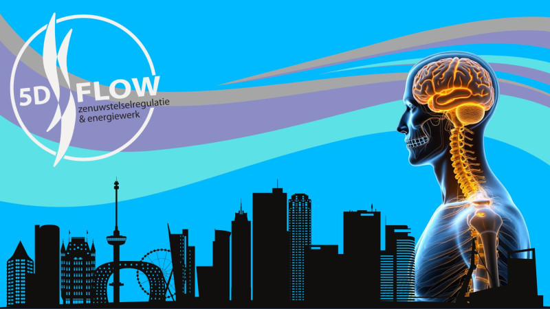 5DFLOW behandeling 1 op 1 of in small group - Hipsy