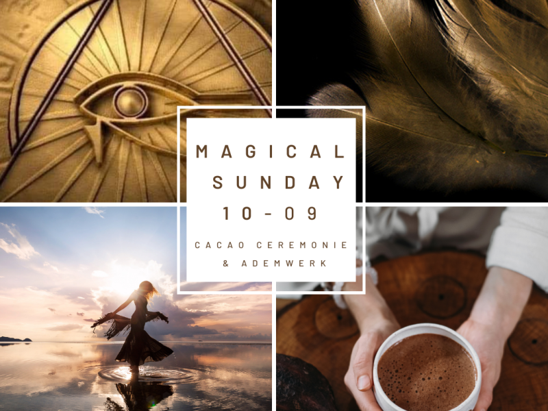 Magical Sunday in Tilburg - Hipsy