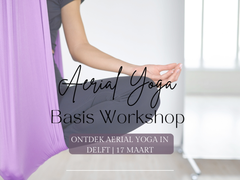 Aerial Yoga Basic Workshop - Hipsy
