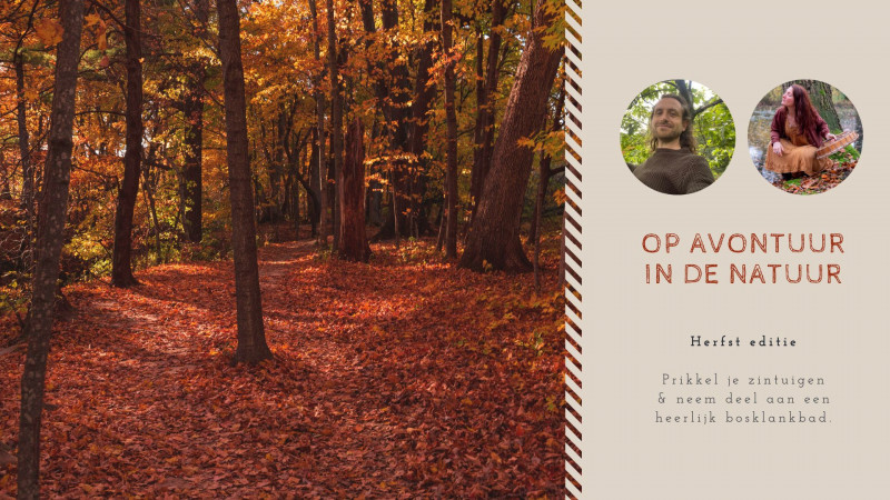 HERFST Bosbad met klankbeleving - Hipsy