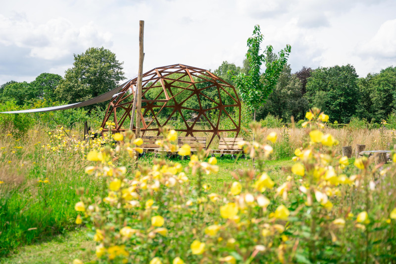 Meewerkdag op het voedselbos: Elke donderdag! - Hipsy
