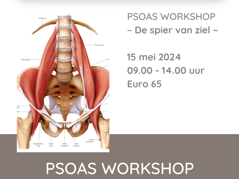 Psoas workshop met gastdocent Milou Verdeijen - Hipsy