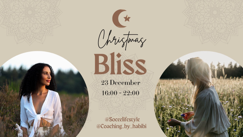 Christmas Bliss - Hipsy