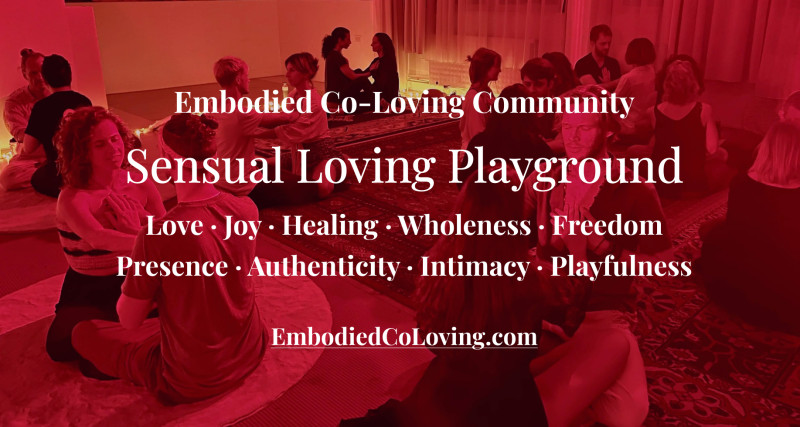 Sensual Loving Playground (Special Edition) - Hipsy