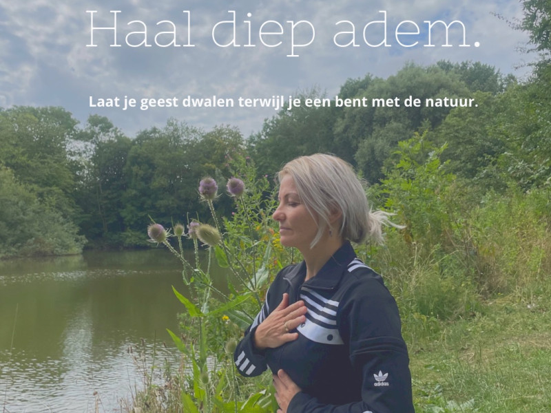 Van stress naar rust - adem, meditatie en balans - Hipsy