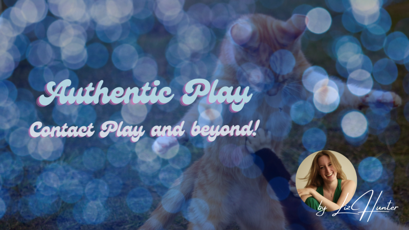 Authentic Play - Contact Play and Beyond! - Hipsy