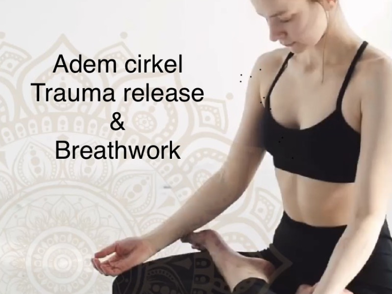 Adem je vrij Cirkel - Hipsy