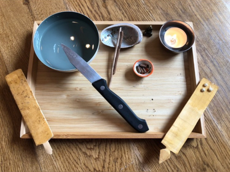 Kambo Ceremonie - Hipsy