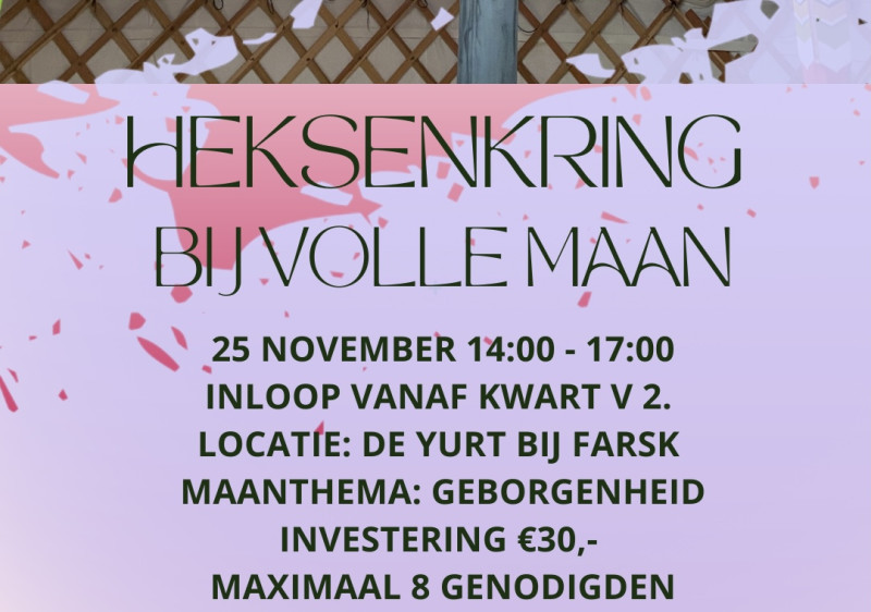 Heksenkring bij volle maan - Hipsy