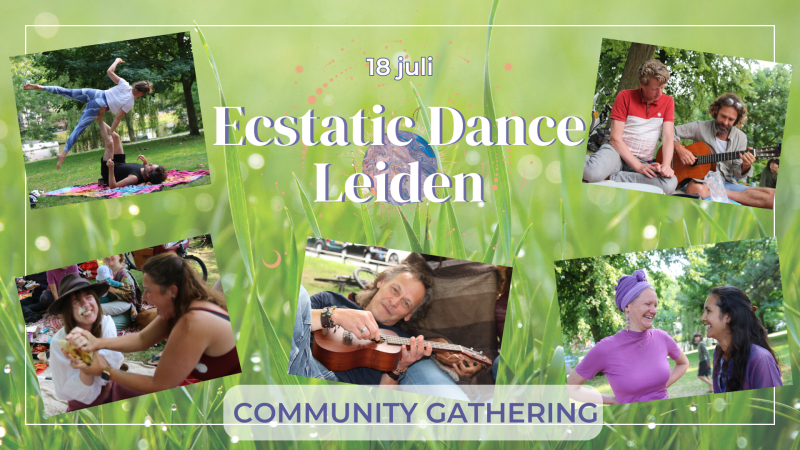 Community potluck diner in het park + muziek maken en acro jam - Hipsy