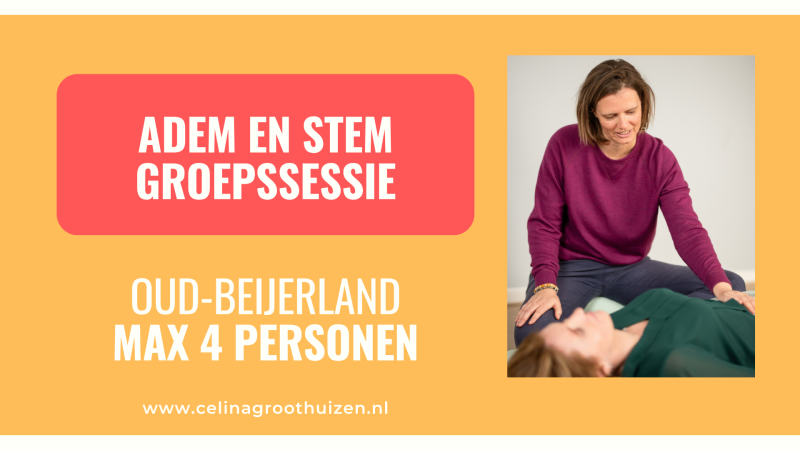 Adem en Stem groepssessie ademcirkel oud-beijerland - Hipsy