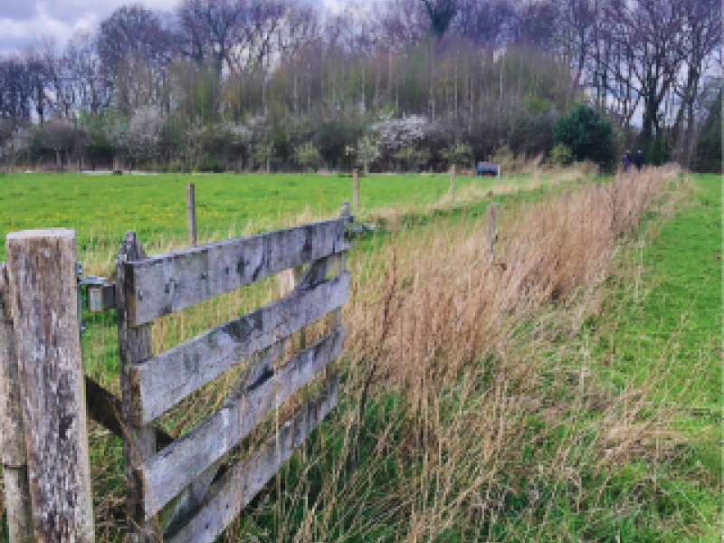 Mind-Walk-Bewustzijn van de Zintuigen - Hipsy