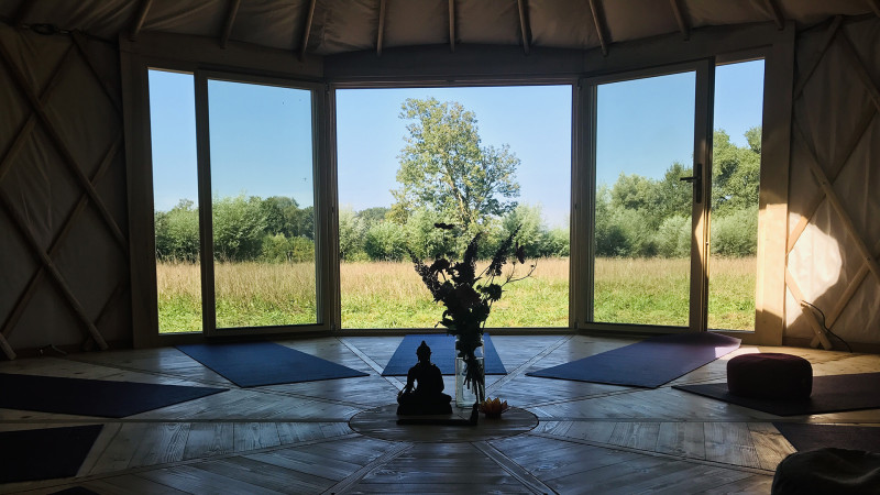 Natuurgezondheid jaarprogramma - 5 cursusdagen: Deep Dive Into Nature - Hipsy