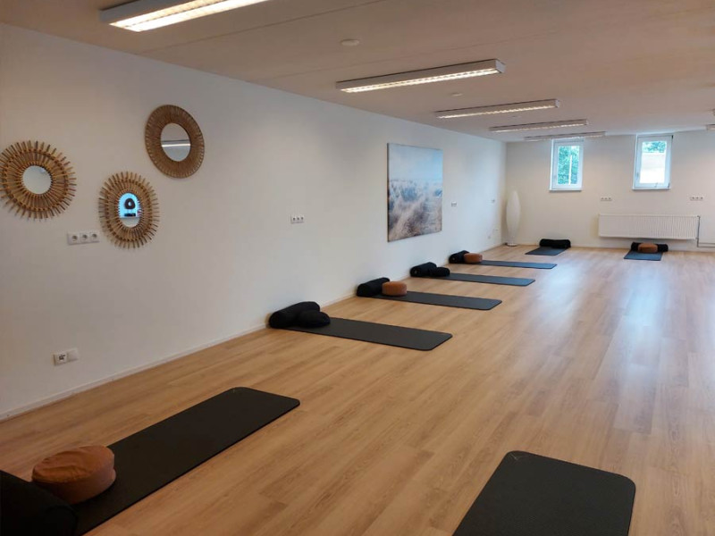 Workshop Psoas en stress inclusief thee en lekkers - Hipsy