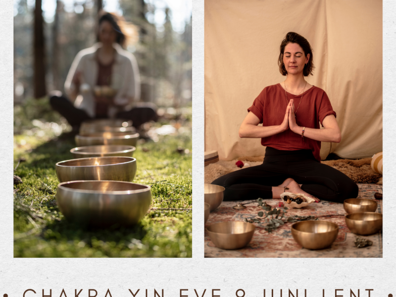 Chakra Yin Eve • Sound & Yoga in de Zendo - Hipsy