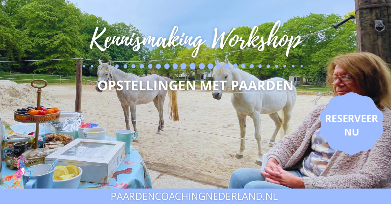 Kennismakings Workshop Coaching en Opstellingen met paarden - Hipsy