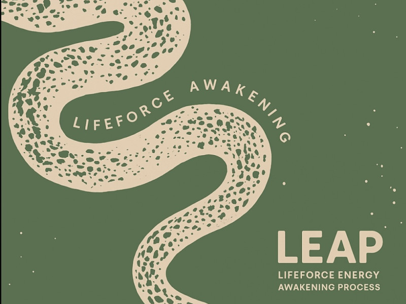 LEAP Lifeforce Energy Awakening Process (Bergschenhoek) - Hipsy