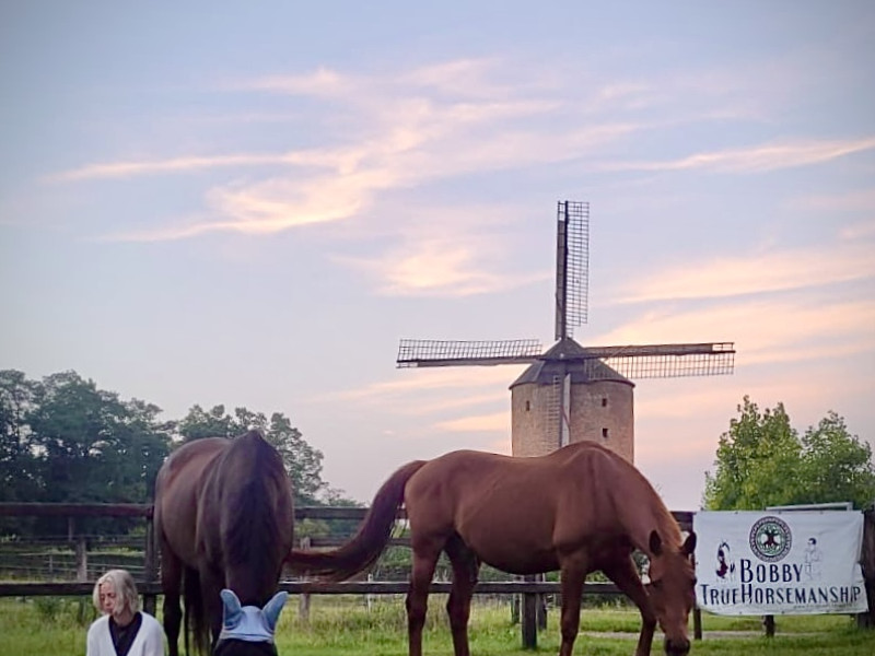 Klankbad tussen de paarden - Hipsy