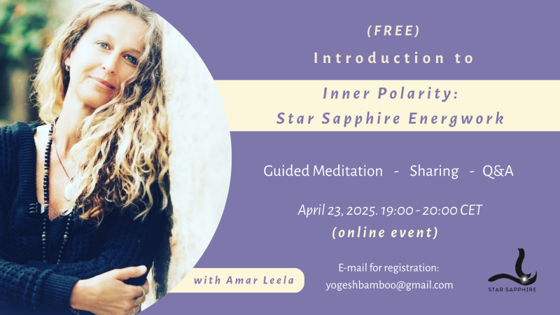 (Free) Introduction to Inner Polarity with Amar Leela - Hipsy