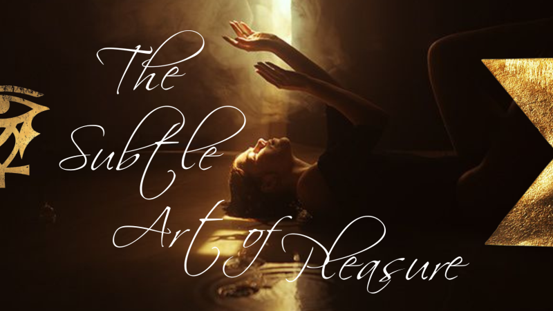 The Subtle Art of Pleasure - Hipsy