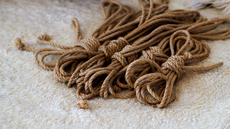 Tantric Rope study - Hipsy