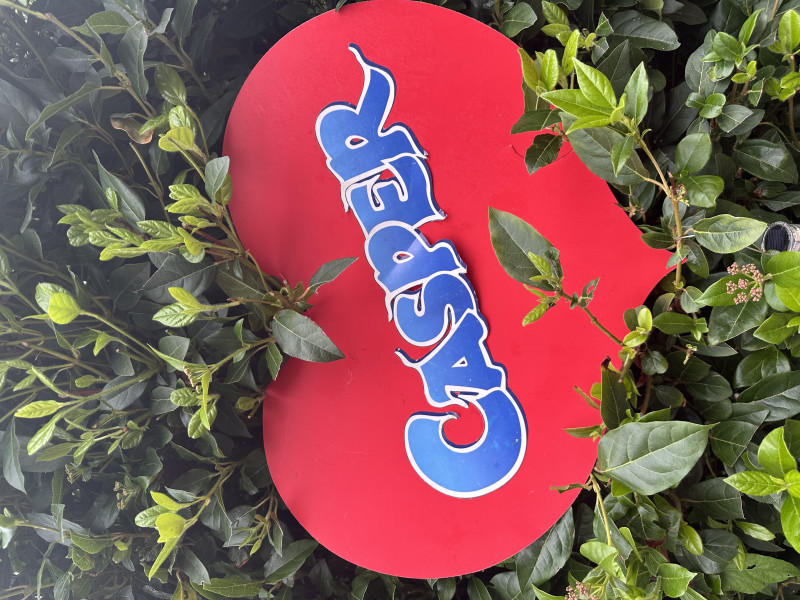 Flowers and Songs World Vision 2024 healing concert - Hipsy