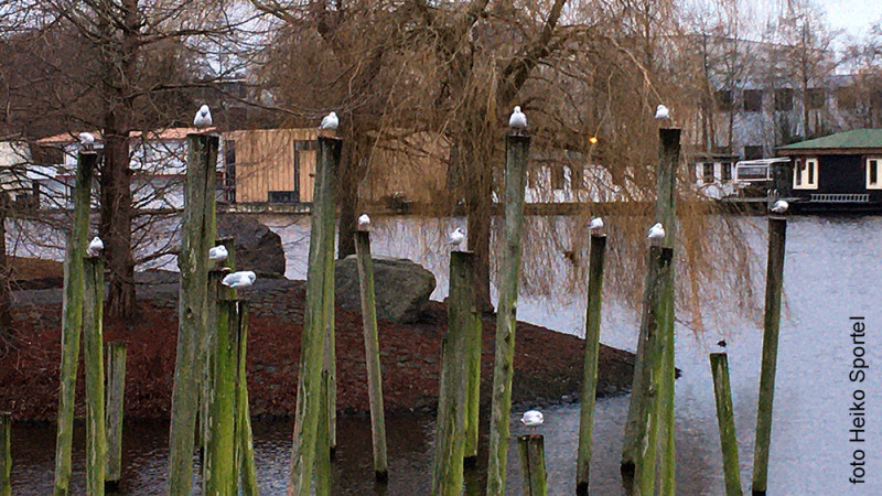 (familie)opstellingendag: alle vragen zijn welkom - Hipsy