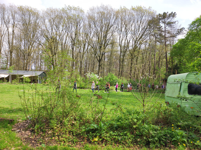 Natuurbewust Zijn - Natuurlijk ontspannen (stiltewandeling) - Hipsy