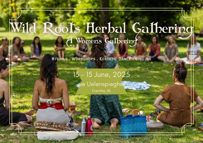 Wild Roots Herbal Gathering 2025 - Hipsy