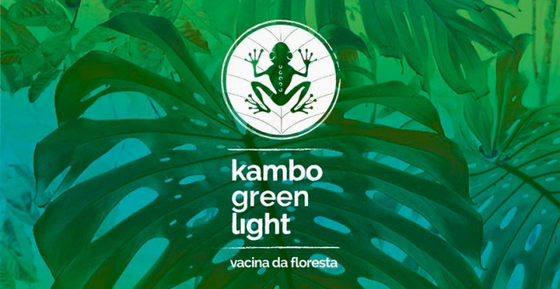 Kambo Circle in Nature - Hipsy