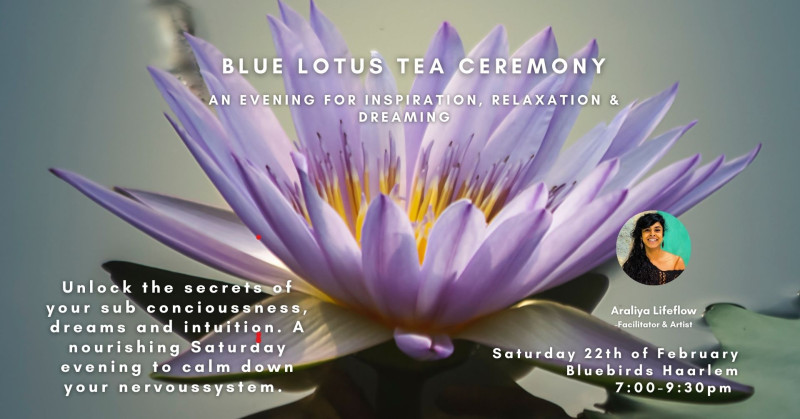 Blue Lotus Tea Ceremony - Hipsy