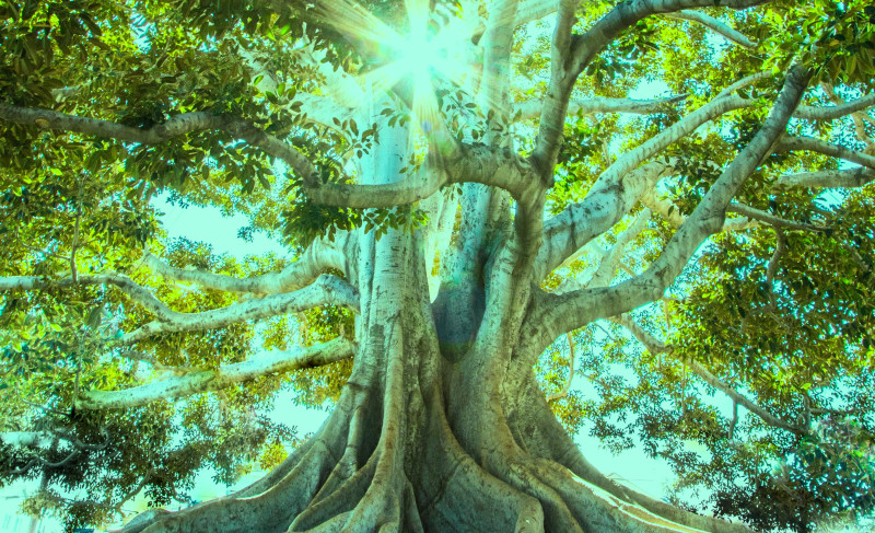 Workshop Zijnsoriëntatie: Bewust sterven - Hipsy