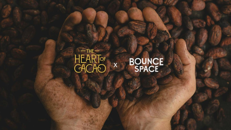 Cacao Journey x The Heart of Cacao - Hipsy