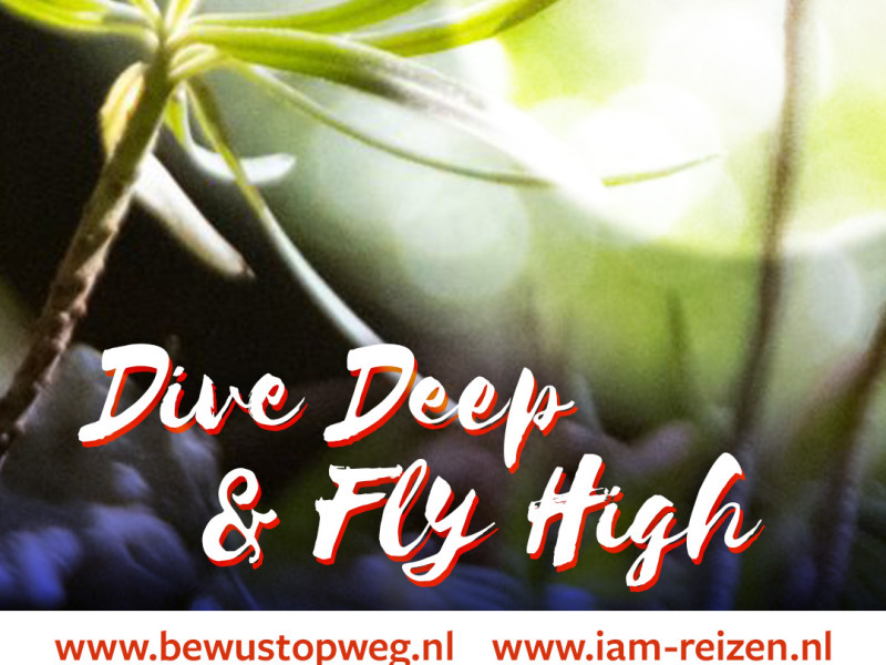 Dive deep & Fly high weekend - voor vrouwen - Hipsy